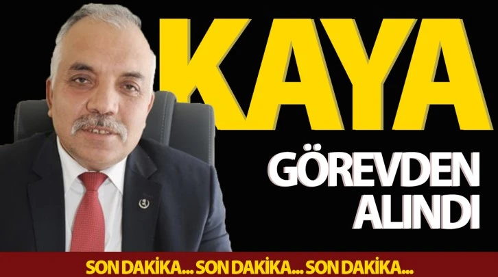 KAYA GÖREVDEN ALINDI - Ayıntab Gazetesi